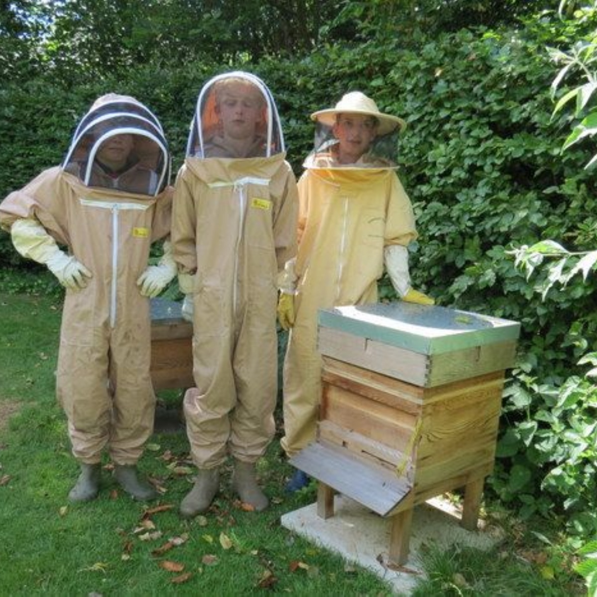 Ludgrove School - Beekeeping